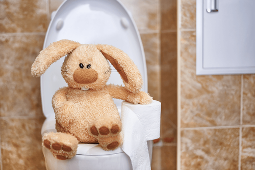 Qu'est-ce que la bride d'un WC ? - Guide Plombier